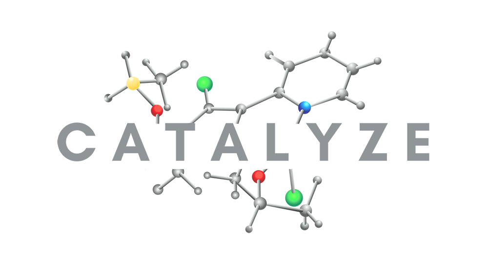 Who We Are — Catalyze