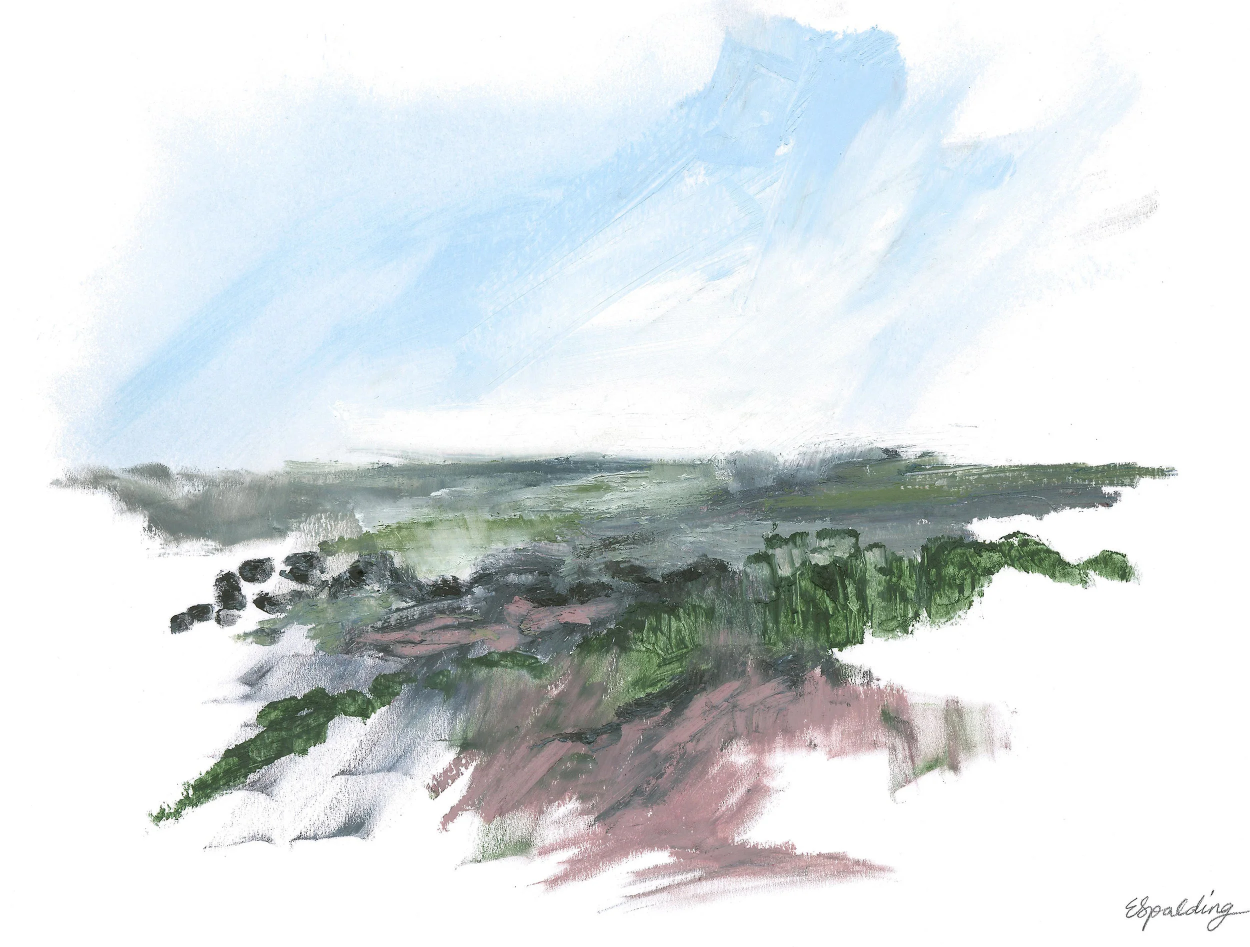 Studland Heath Series — Eleanor Spalding