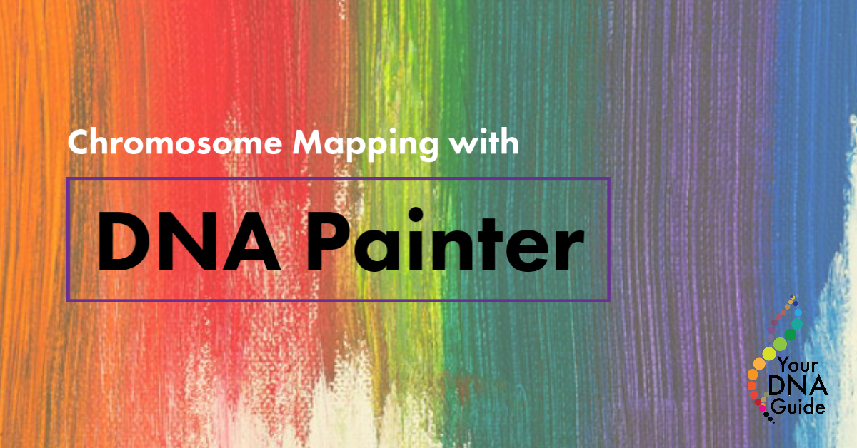 Chromosome Mapping with DNA Painter - Your DNA Guide - Diahan Southard
