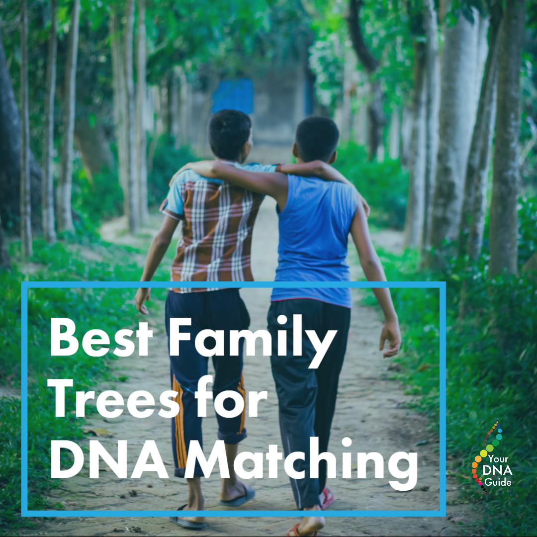 Find DNA Matches You Need | The Leftover Strategy - Your DNA Guide ...