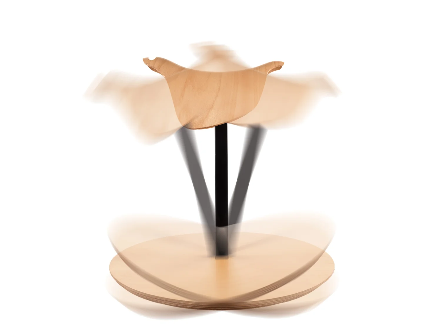 About — Home Horse