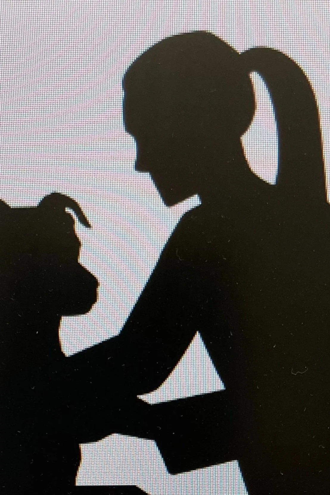 About Us — Edgewood Animal Hospital