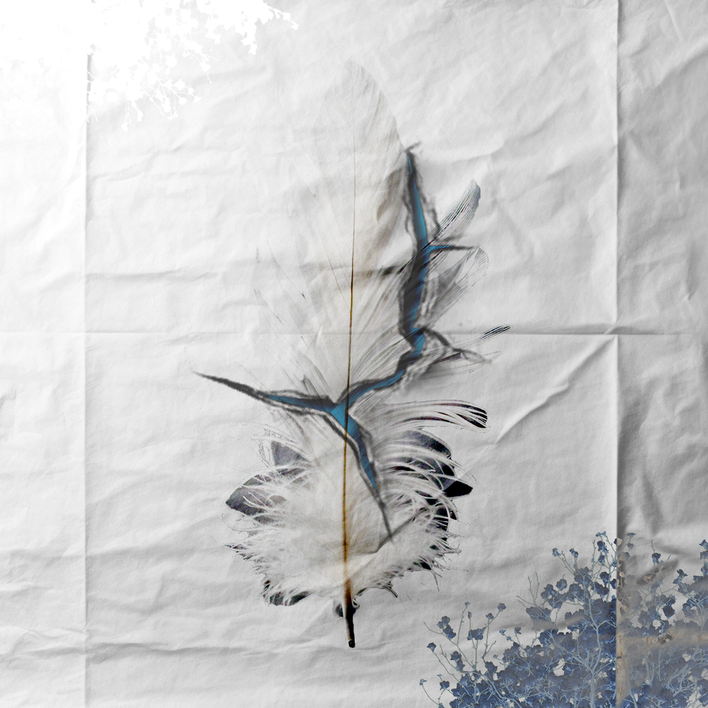 Digital Arts at Dartmouth