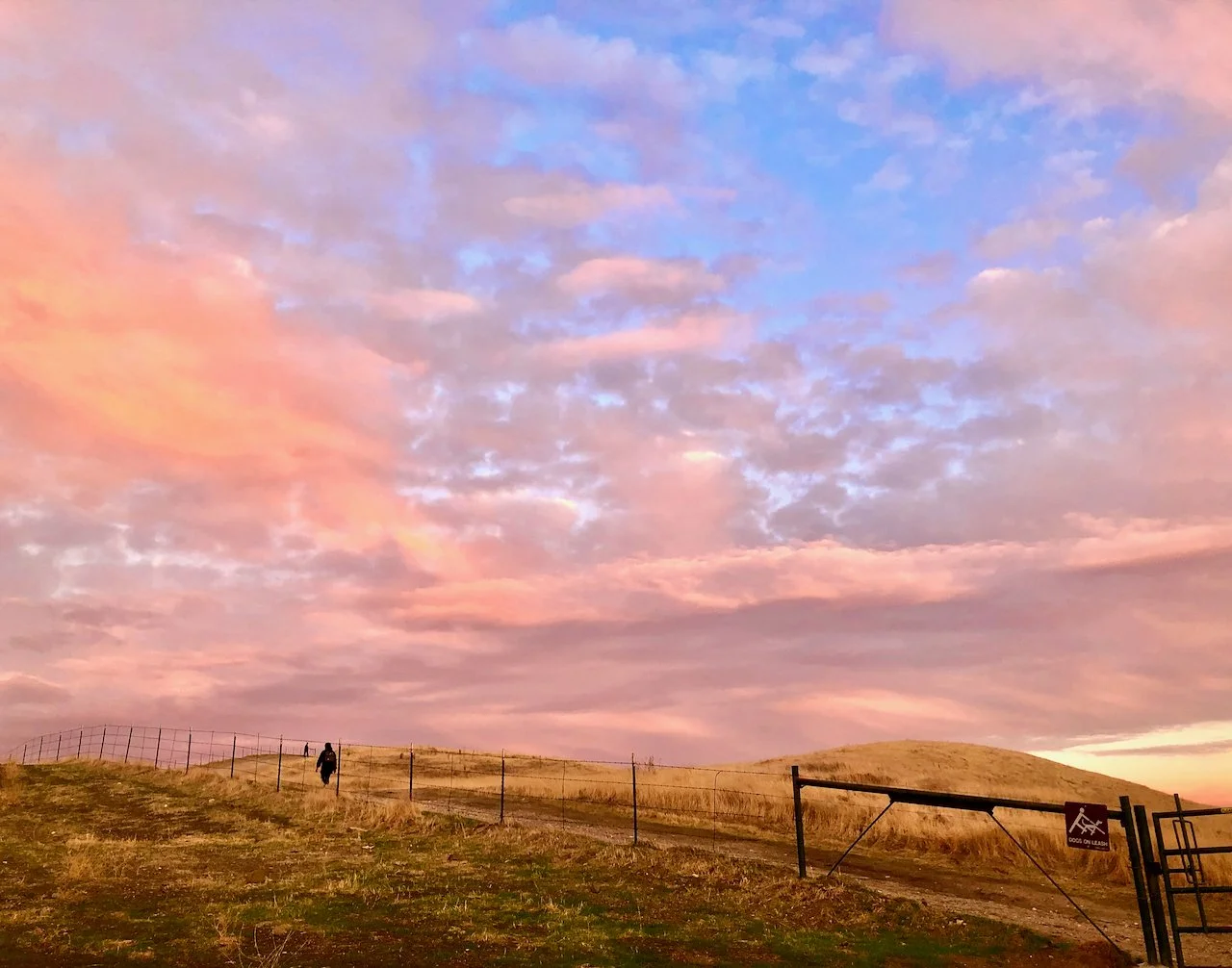 AGD Members Gallery — Art Guild of the Delta