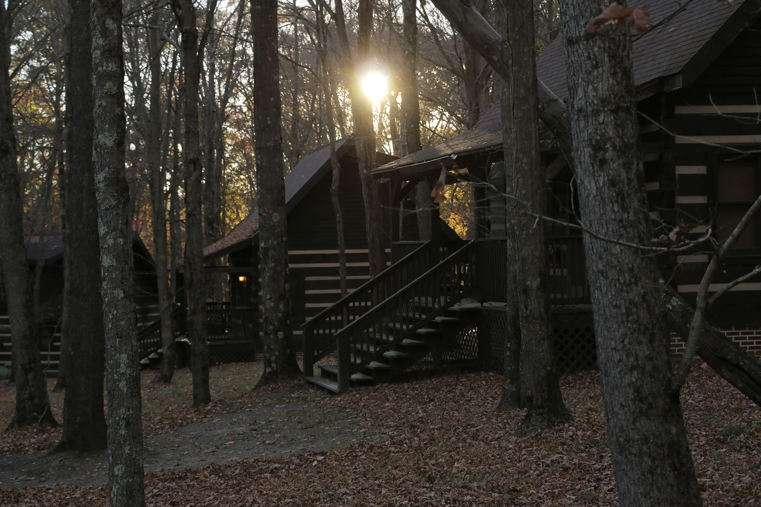 Savage River Outfitters Cabins