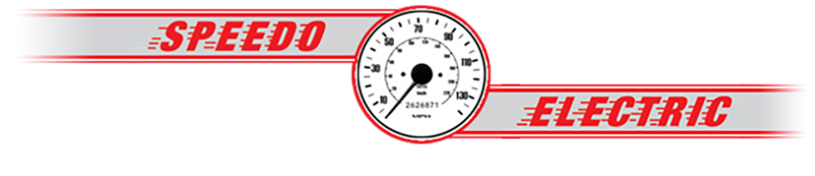 Speedo Electric