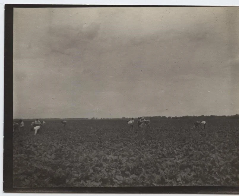 Agricultural History — Hayward Area Historical Society