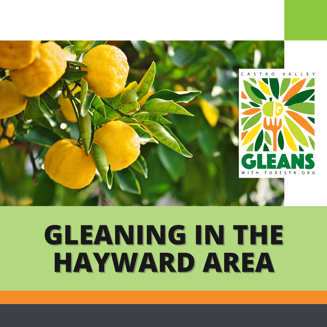 Hayward Area Historical Society