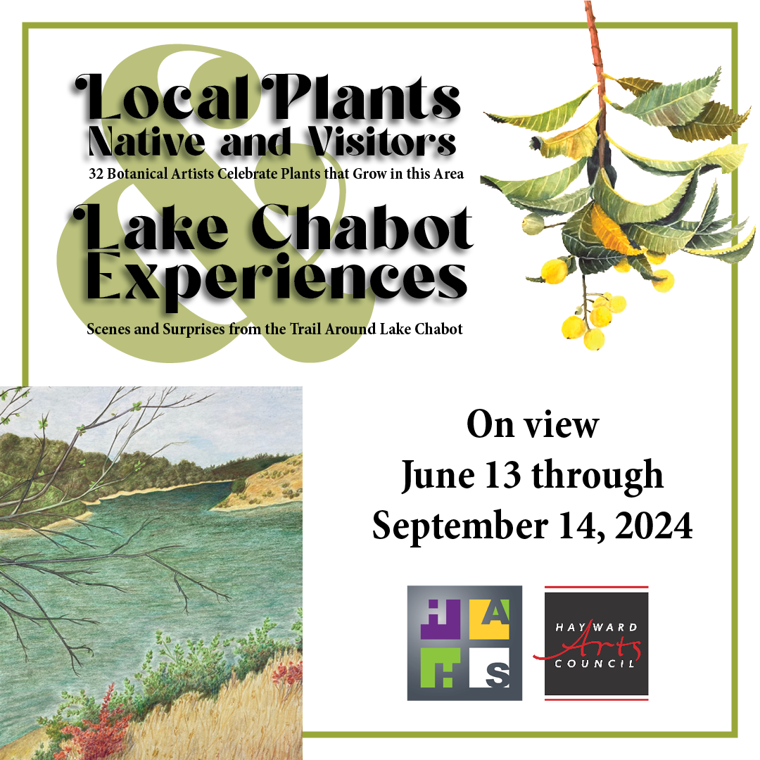 HAHS Art Gallery — Hayward Area Historical Society