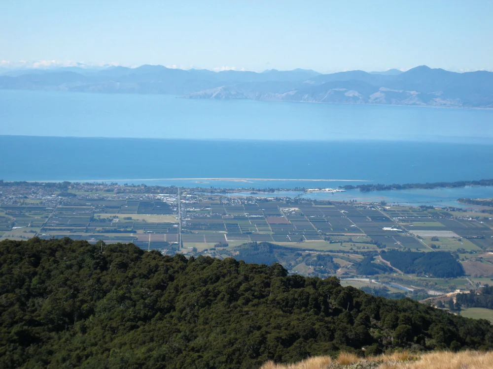 Nelson Tenths — Wakatu Incorporation