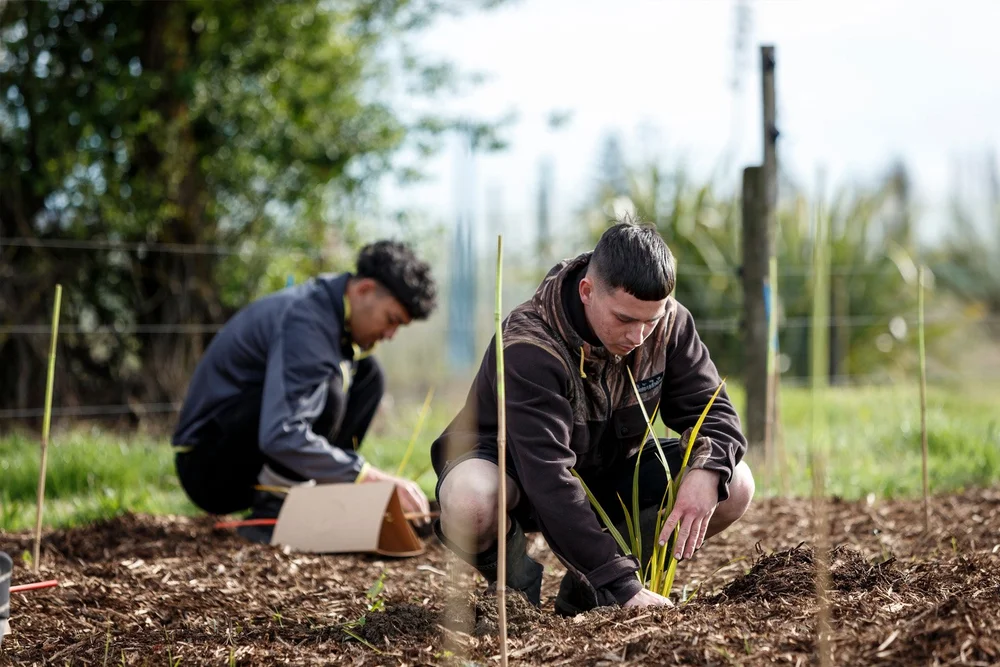 Whenua | Land — Wakatu Incorporation