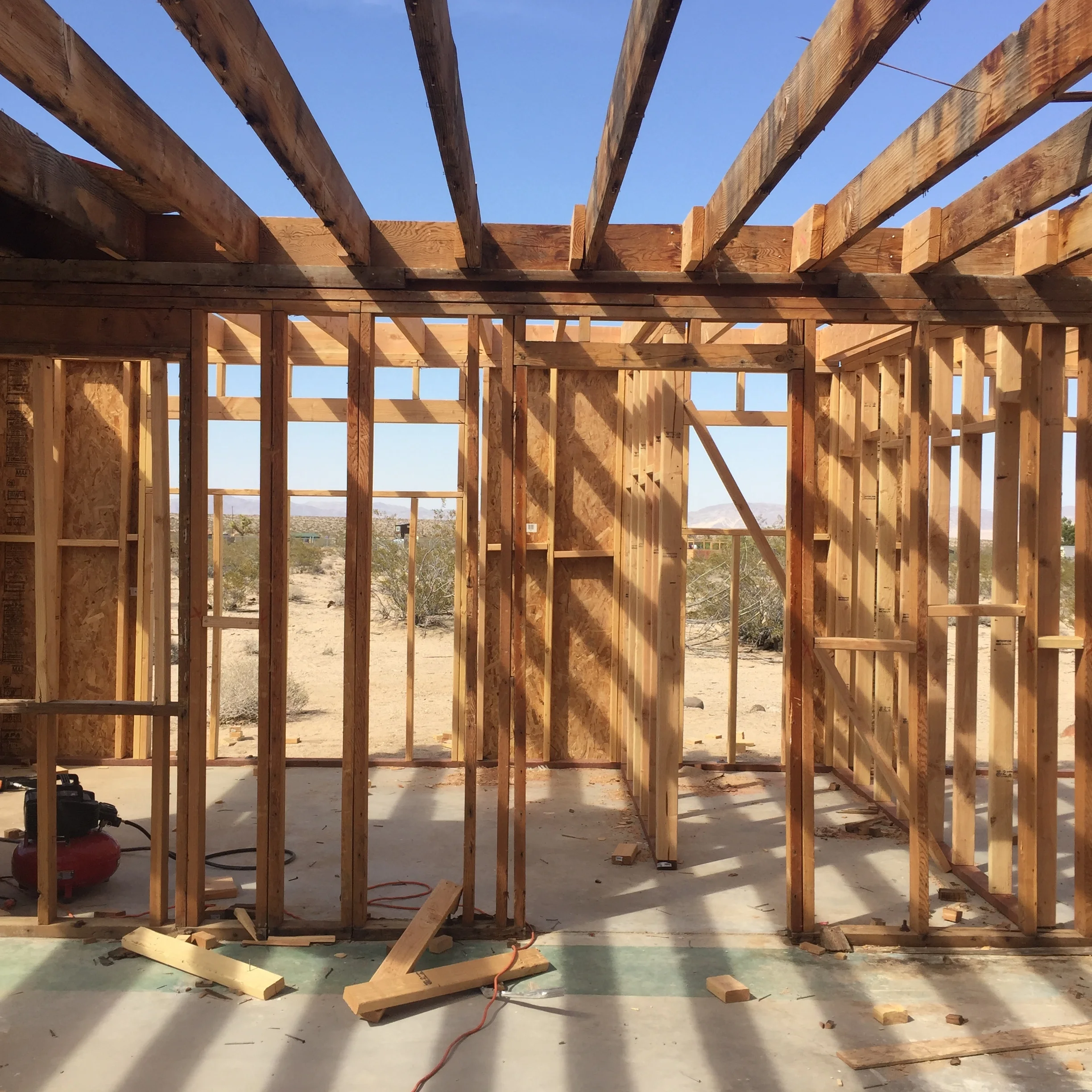 The Shack Attack — We Are In Our Element