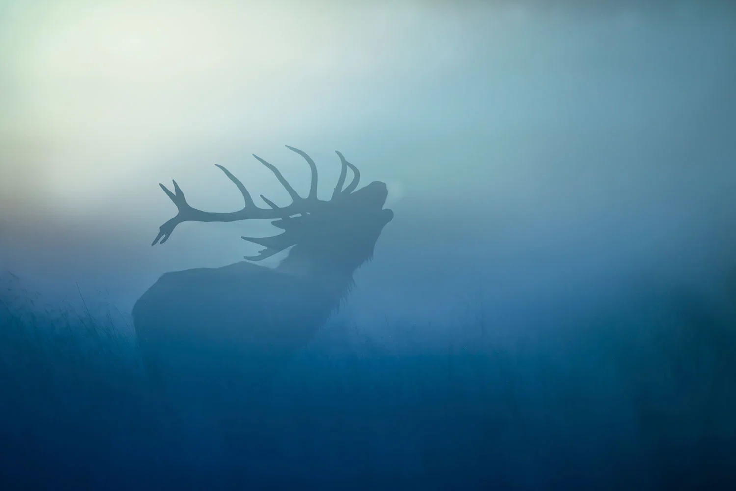 Request Wholesale Pricing — Touchstone Distributing, Inc.