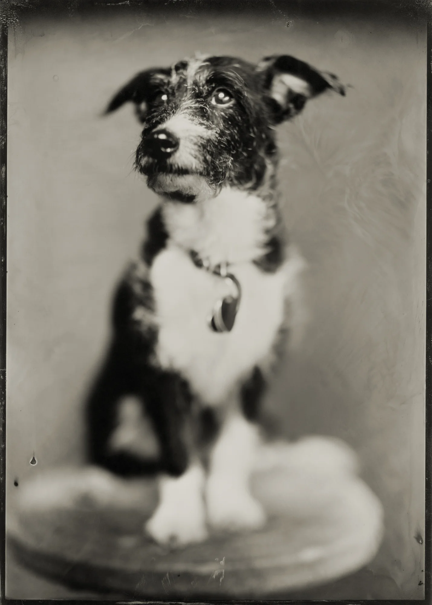 Tintype Portrait Studio FAQ — Penumbra Foundation – Photography Non ...