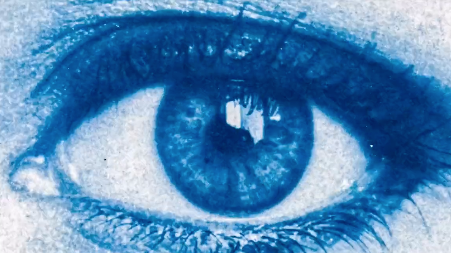 Online Learning with Penumbra — Penumbra Foundation – Photography Non ...