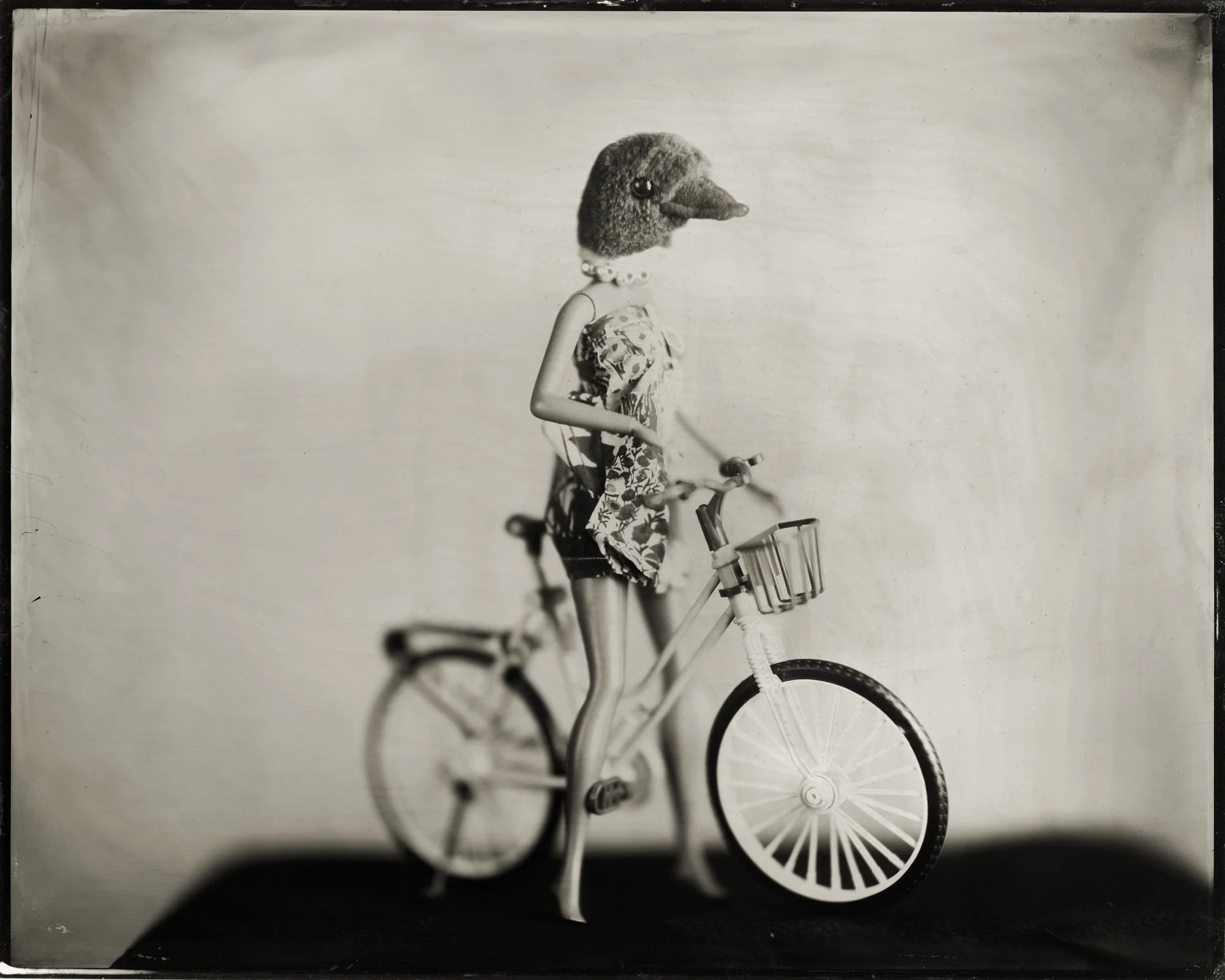 Workshops — Penumbra Foundation – Photography Non-Profit in NYC