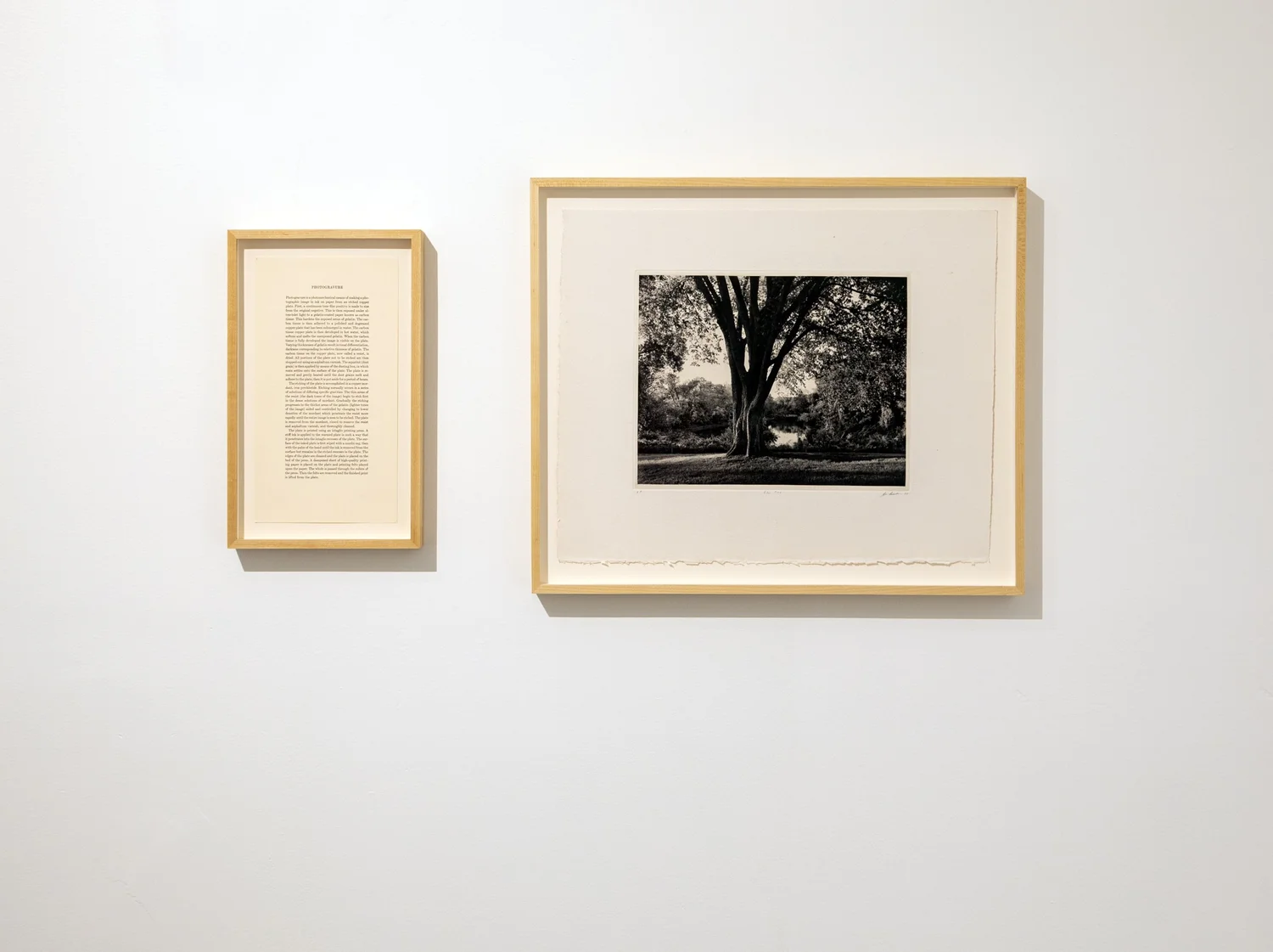 Jon Goodman — Penumbra Foundation – Photography Non-Profit in NYC