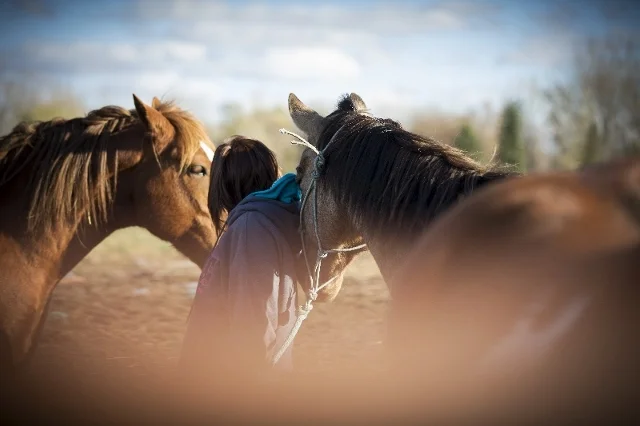 Heartland Girls' Ranch