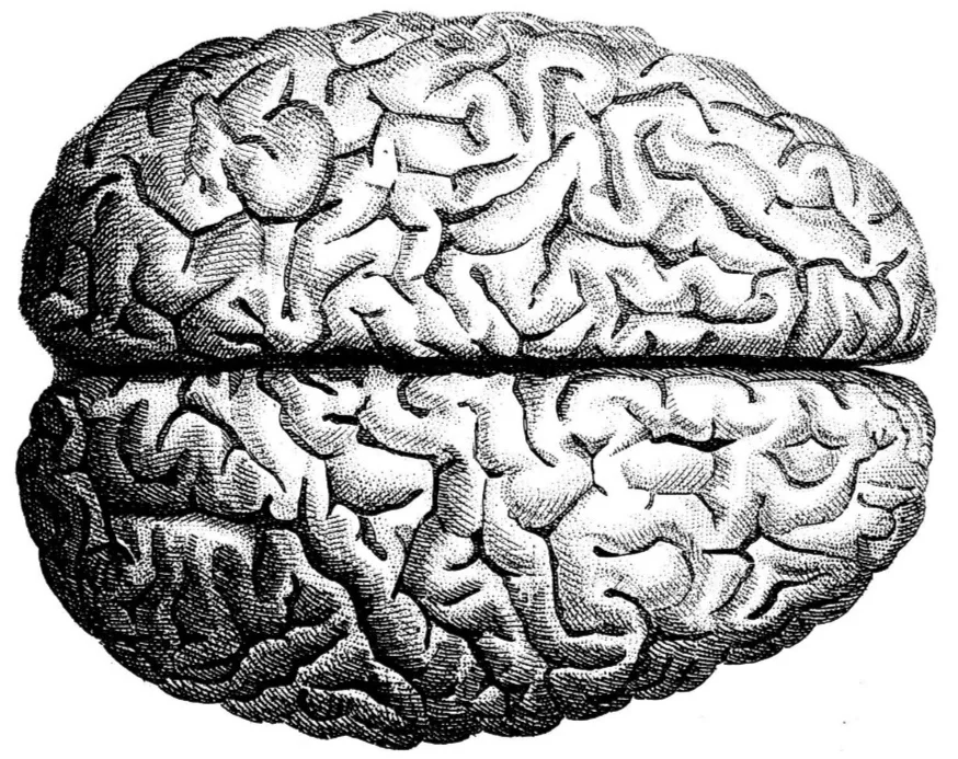 What is Brainspotting? | Effective Brainspotting Therapy in Baltimore — Space Between Counseling ...