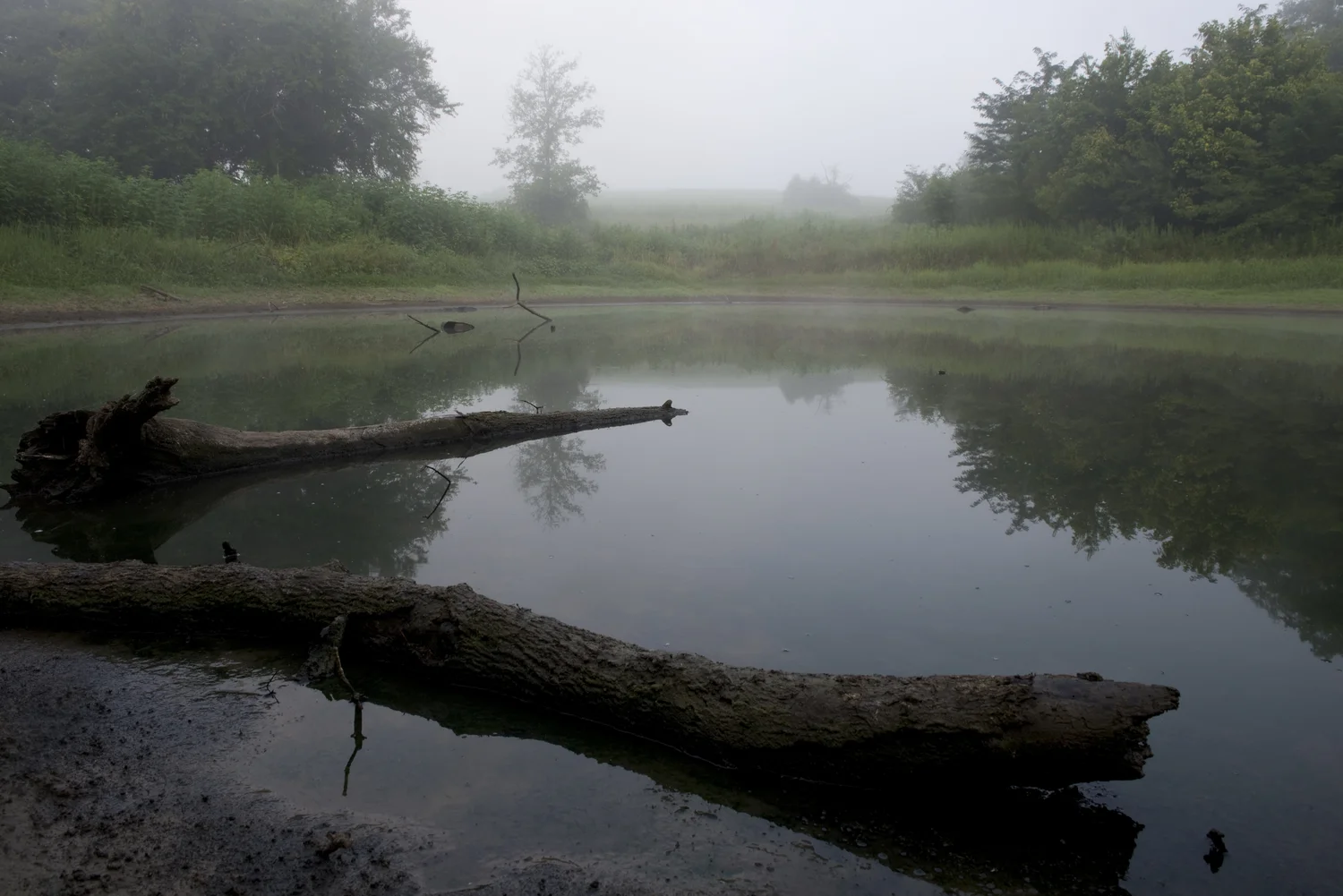 Outdoor Recreation — Bells Bend Conservation Corridor