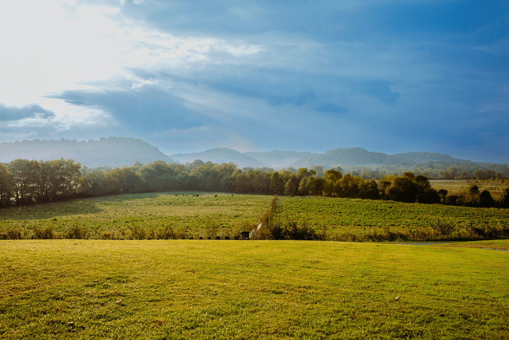 Bells Bend Conservation Corridor