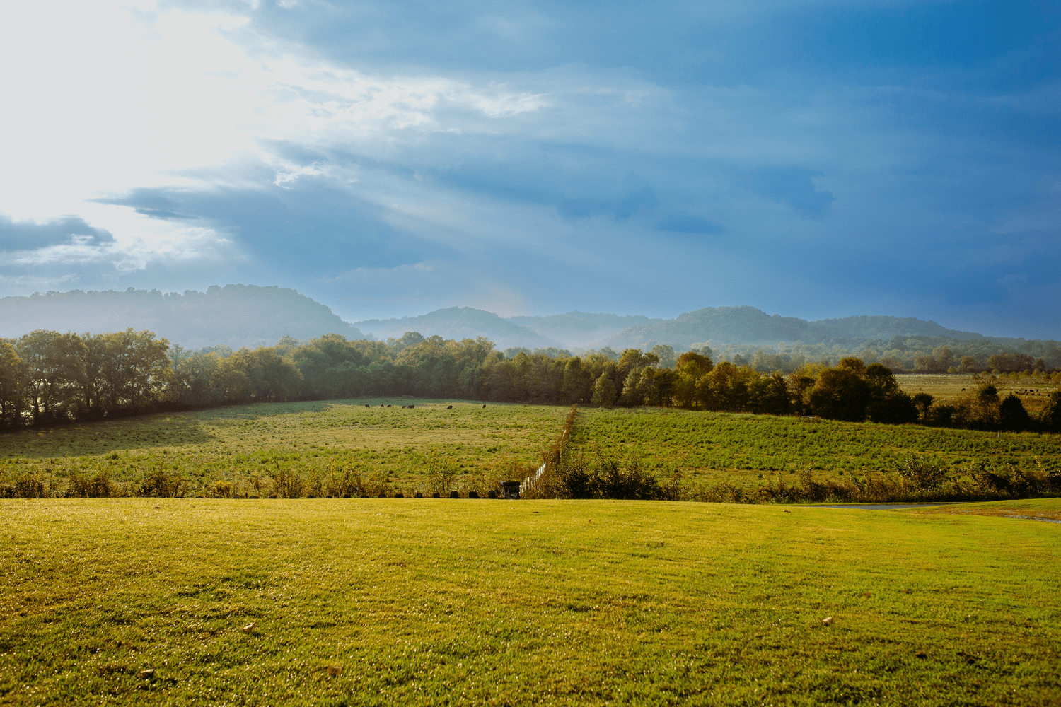Bells Bend Conservation Corridor