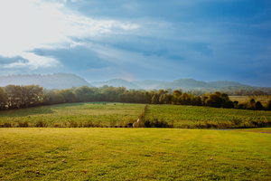 Bells Bend Conservation Corridor