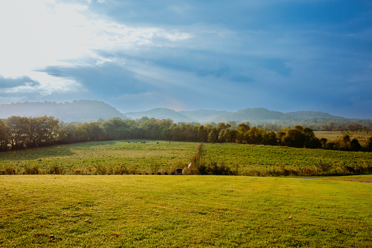 Bells Bend Conservation Corridor