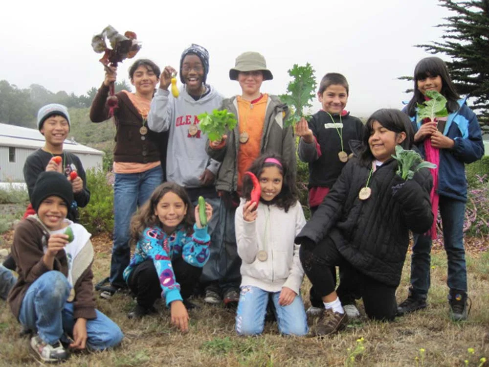 More Pics! — Vida Verde