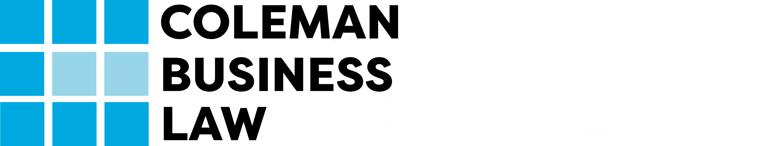 Austin business law firm