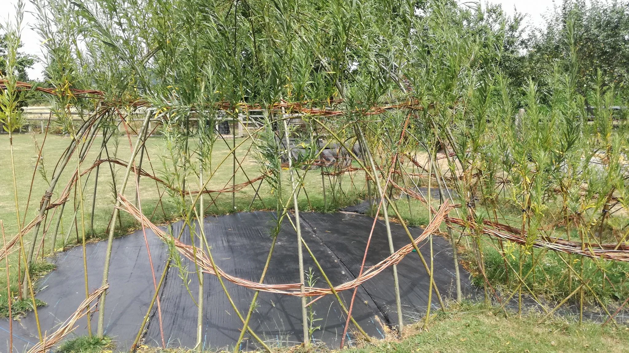 Rooted Structures — Rooted Forest School