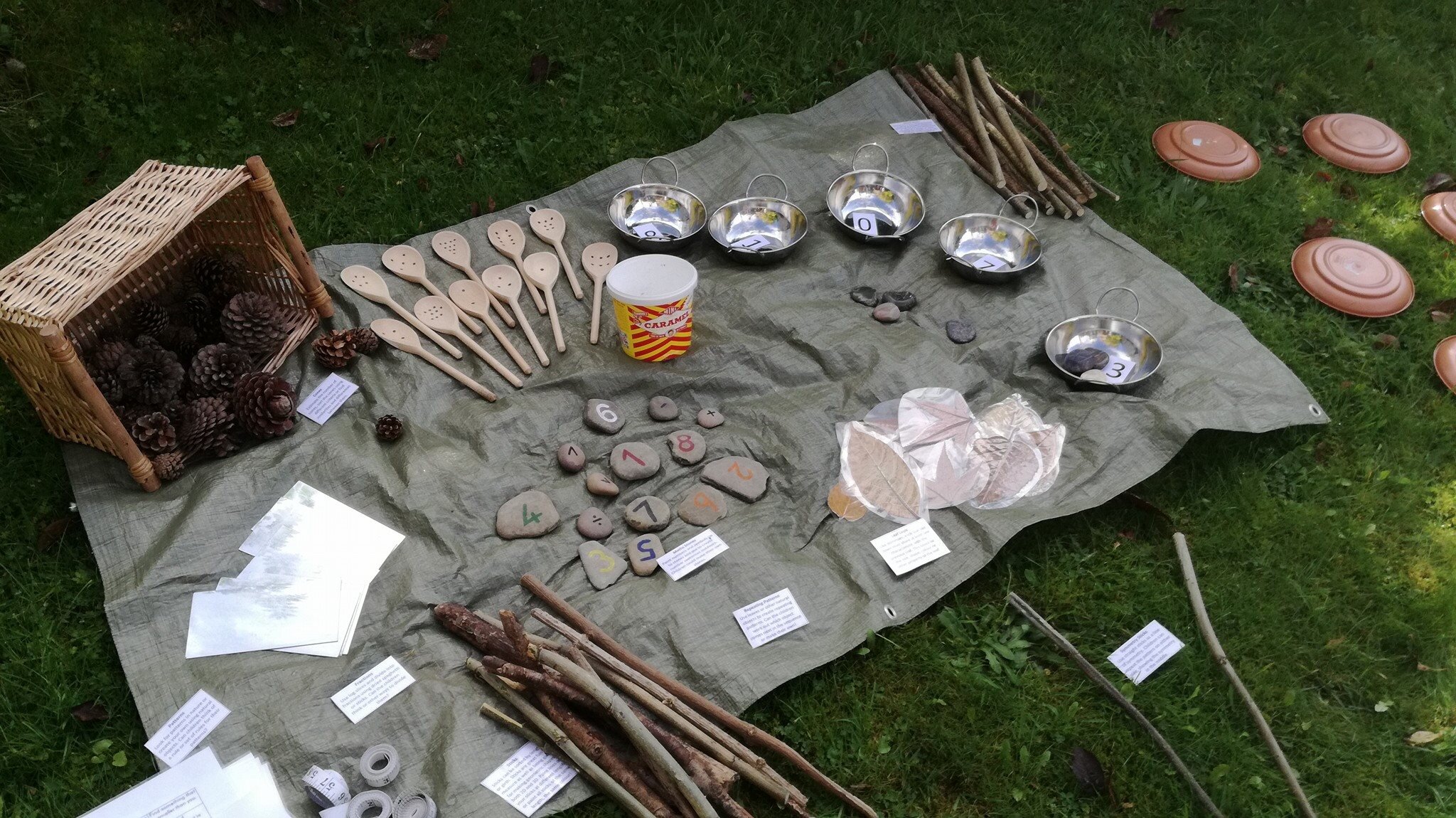 CPD Training And Inset Days Rooted Forest School