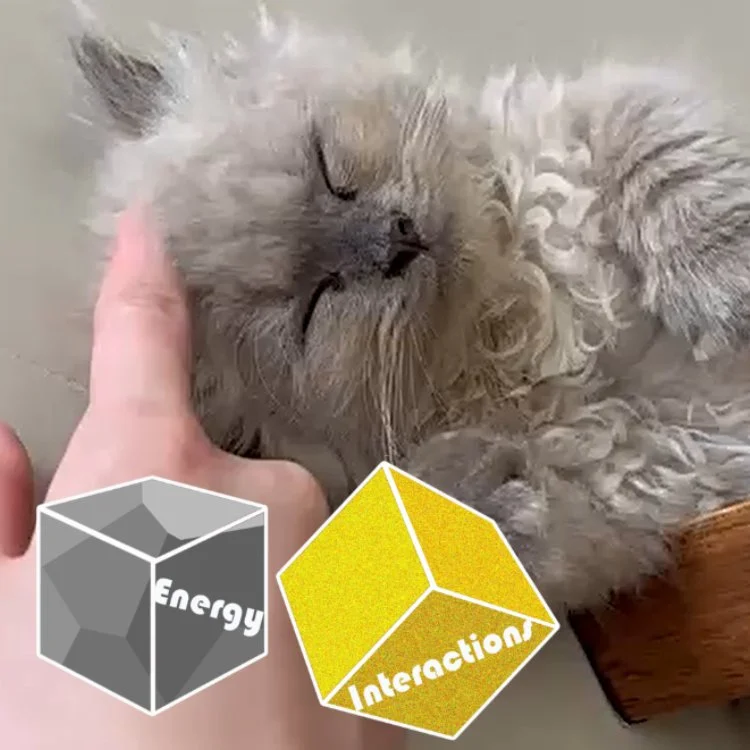 BLOGSS — Science Studios Learning Centre - Primary School Science Tuition