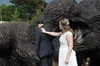 An Event Less Ordinary - AELO Alumni | Ally + Rob, 8/20/22