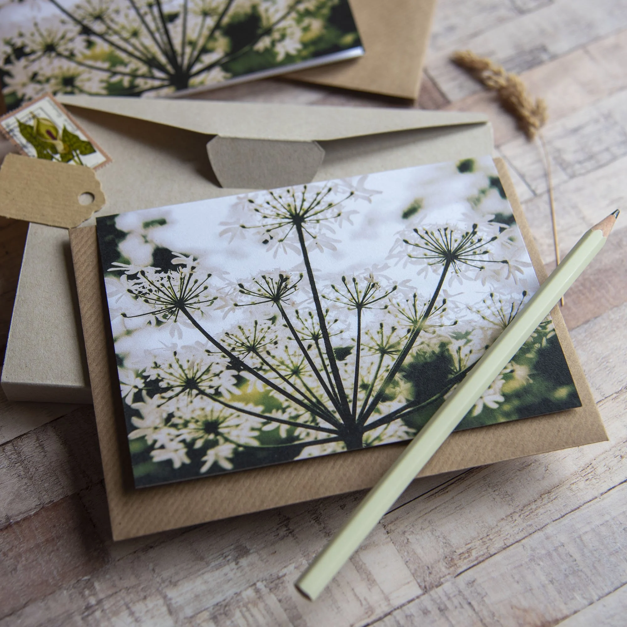 PhotoHaiku | Nature-inspired Cards, Note Cards, Prints & Stationery