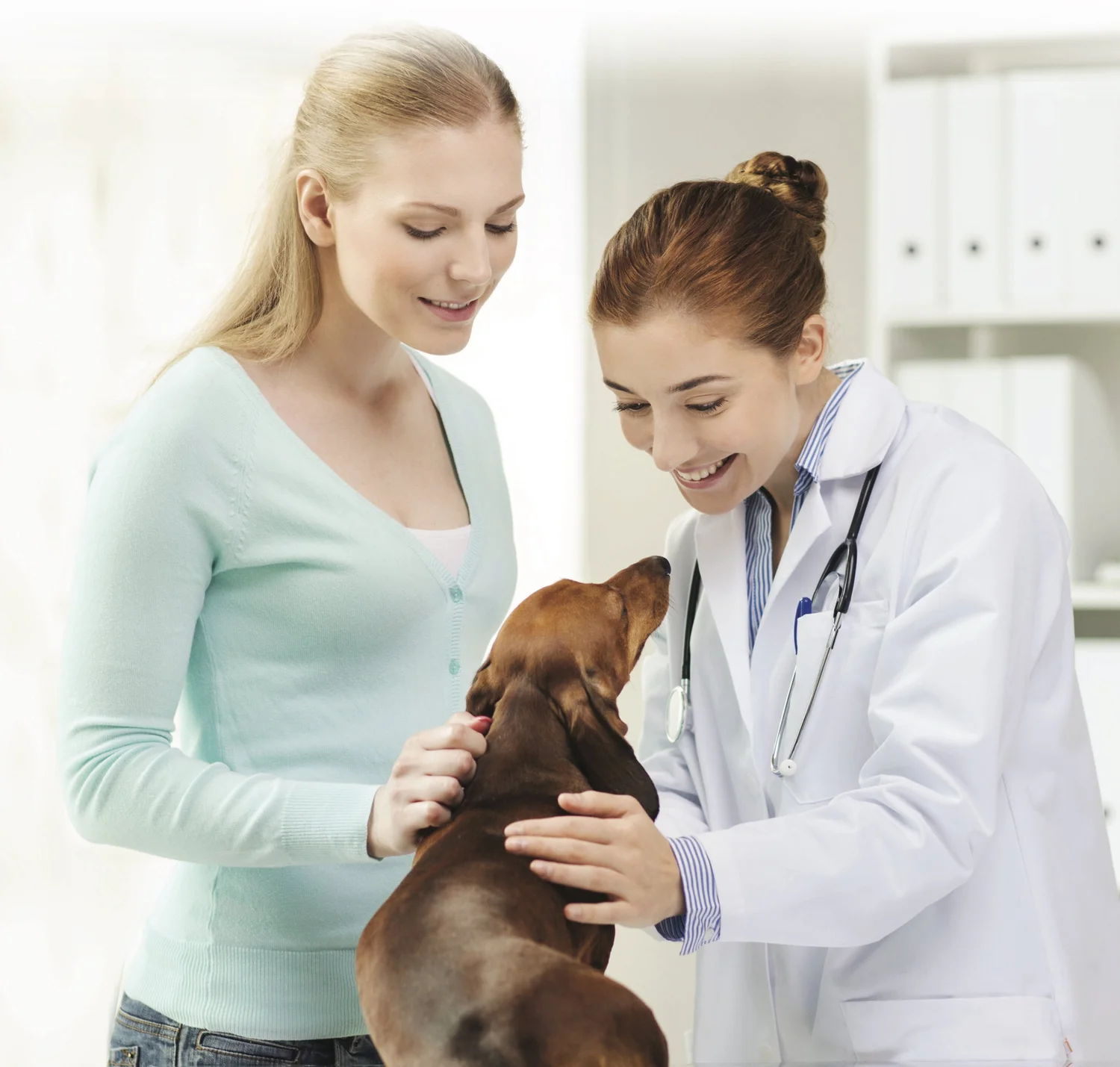 Samsung Veterinary Ultrasound — Boland Vet Sales