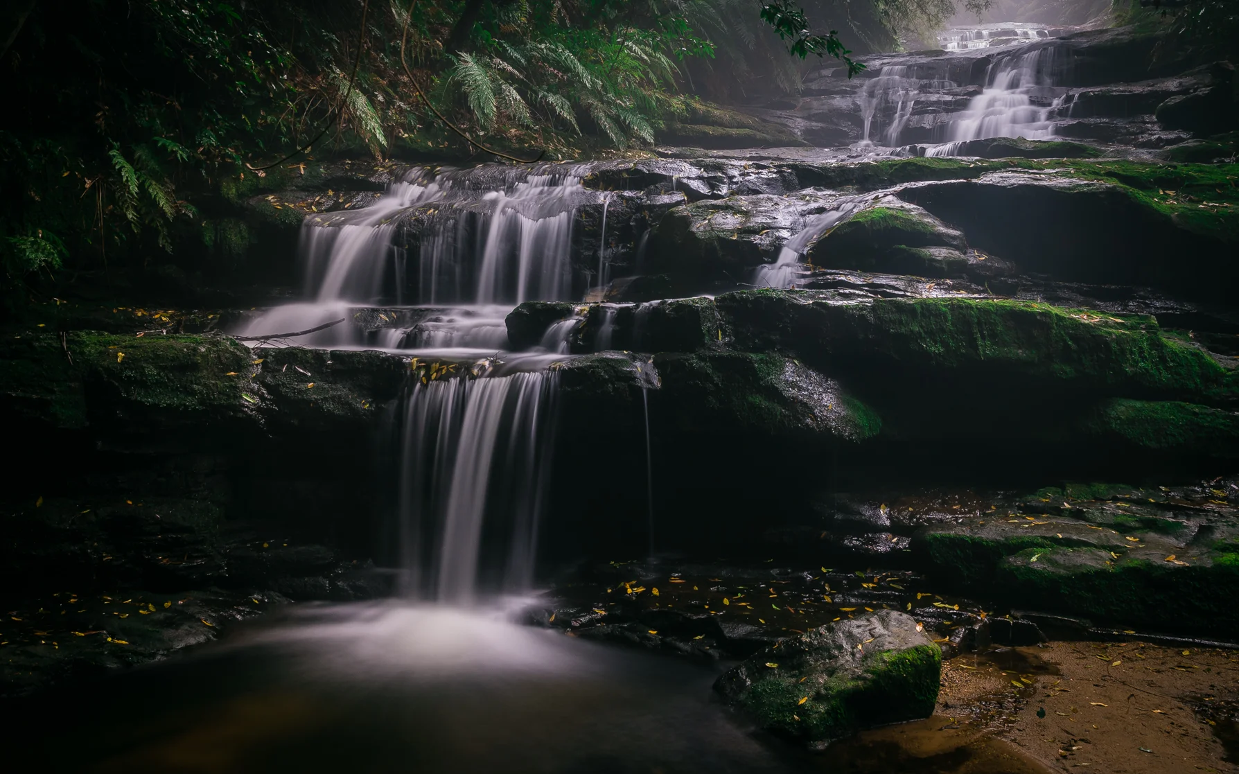 Water — Michelle Lake