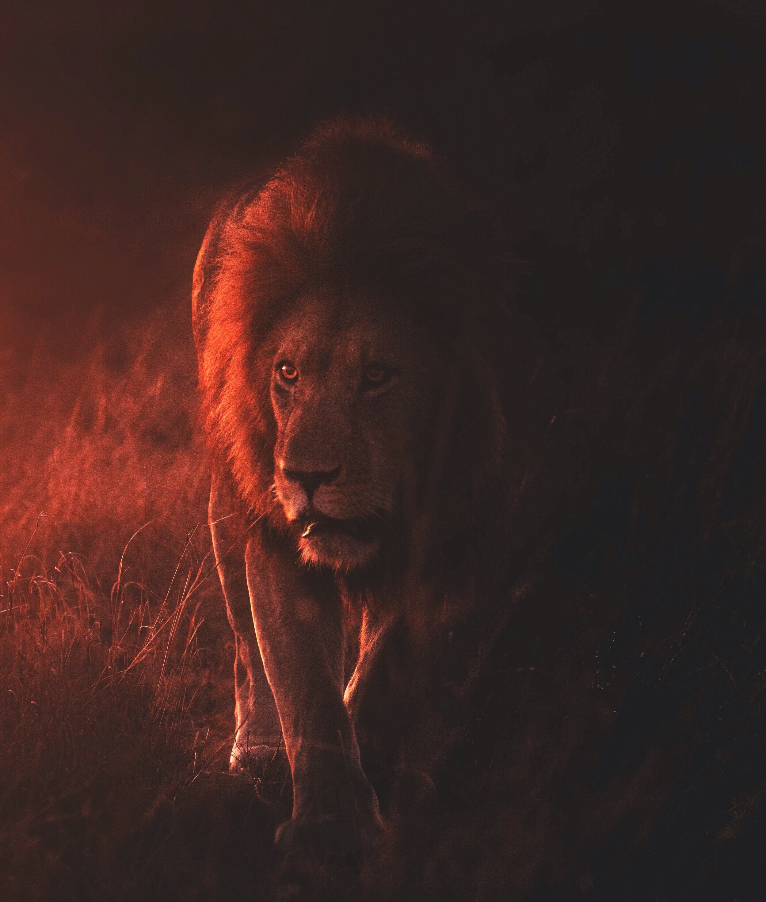 Satan: Hungry, Roaring, Angry Lion — Faith Bible Church