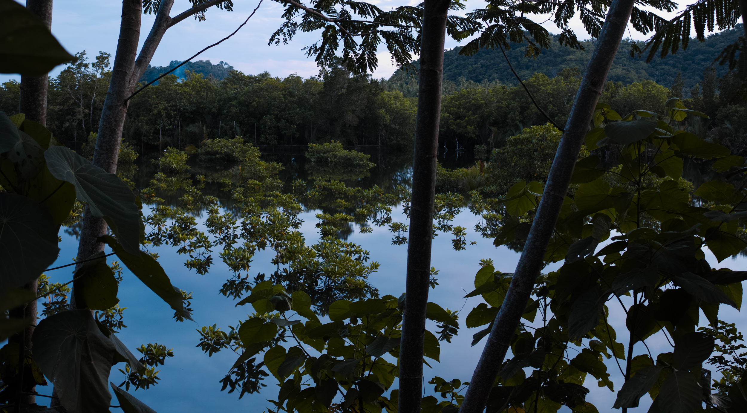 Stacy Liu Wallpaper Stacy Liu IMDb