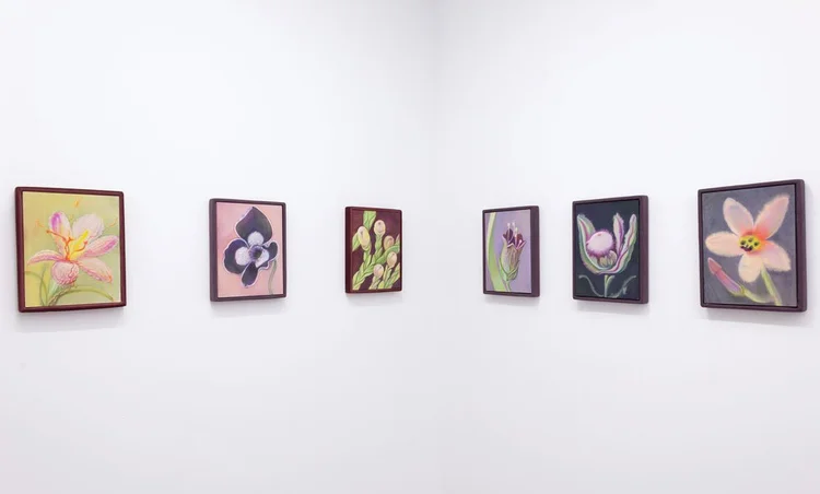 Alina Bliumis - PLANT PARENTHOOD, flowers that have been used to induce ...