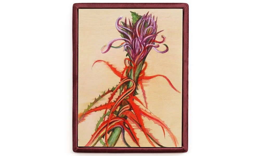 Alina Bliumis - PLANT PARENTHOOD, flowers that have been used to induce ...