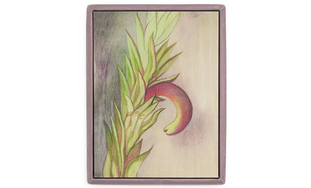 Alina Bliumis - PLANT PARENTHOOD, flowers that have been used to induce ...