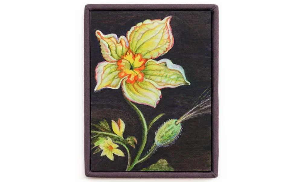 Alina Bliumis - PLANT PARENTHOOD, flowers that have been used to induce ...