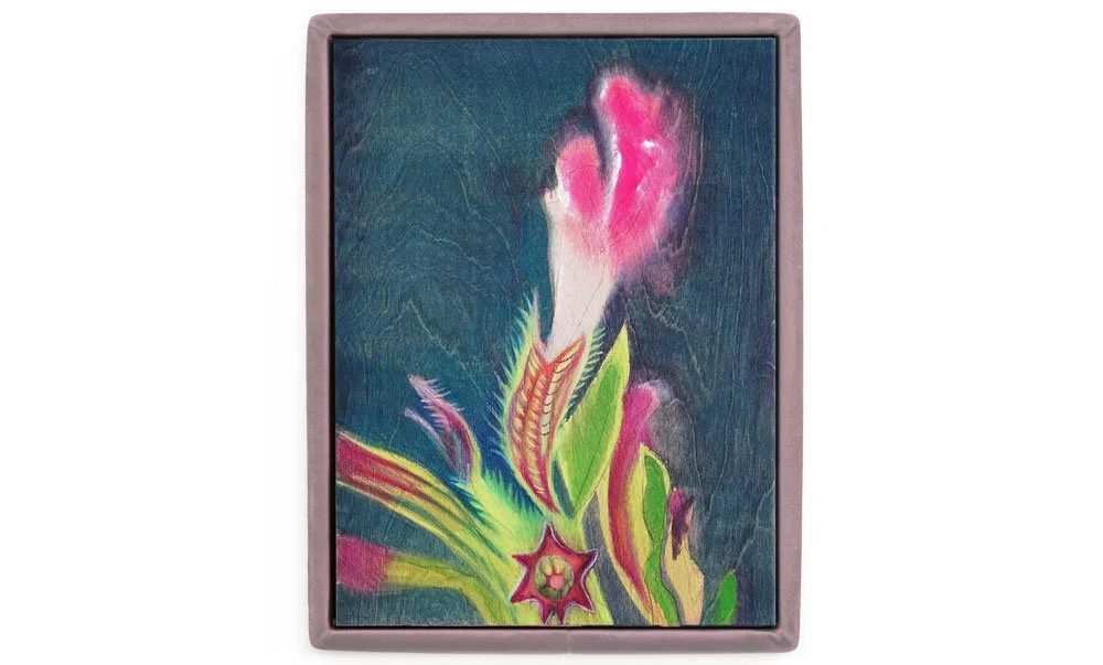 Alina Bliumis - PLANT PARENTHOOD, flowers that have been used to induce ...