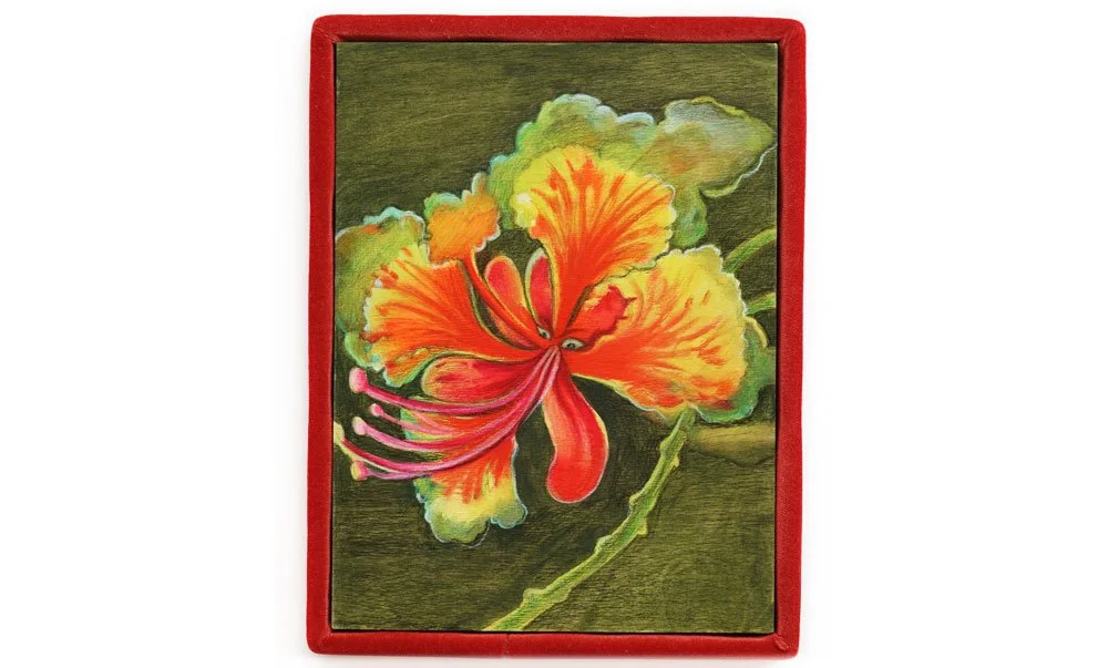 Alina Bliumis - PLANT PARENTHOOD, flowers that have been used to induce ...