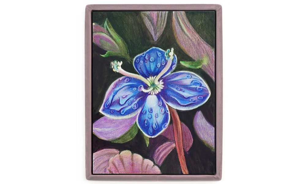 Alina Bliumis - PLANT PARENTHOOD, flowers that have been used to induce ...