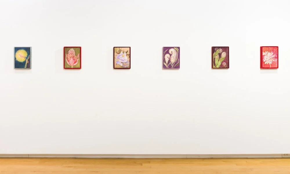 Alina Bliumis - PLANT PARENTHOOD, flowers that have been used to induce ...