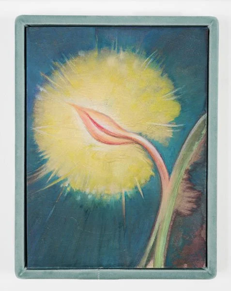 Alina Bliumis - PLANT PARENTHOOD, flowers that have been used to induce ...