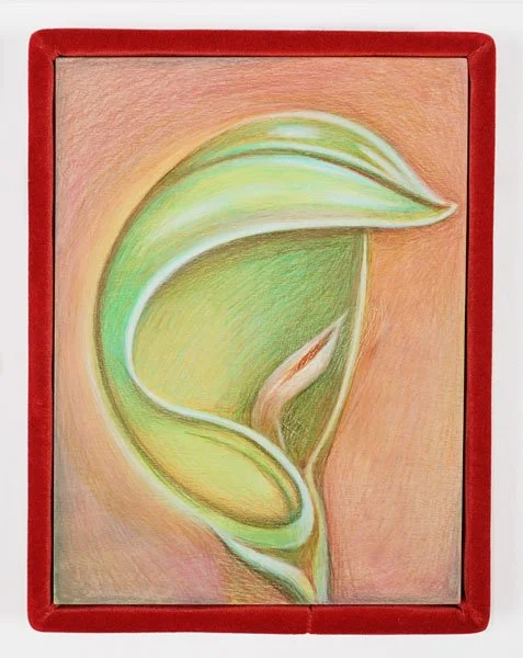 Alina Bliumis - PLANT PARENTHOOD, flowers that have been used to induce ...
