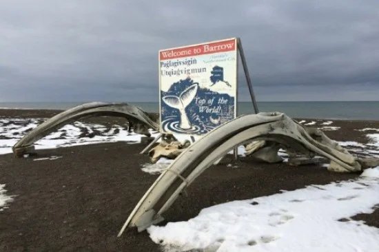 Blog | King Eider Inn